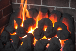 Valor Portrait Senator Gas Fireplace in Toronto